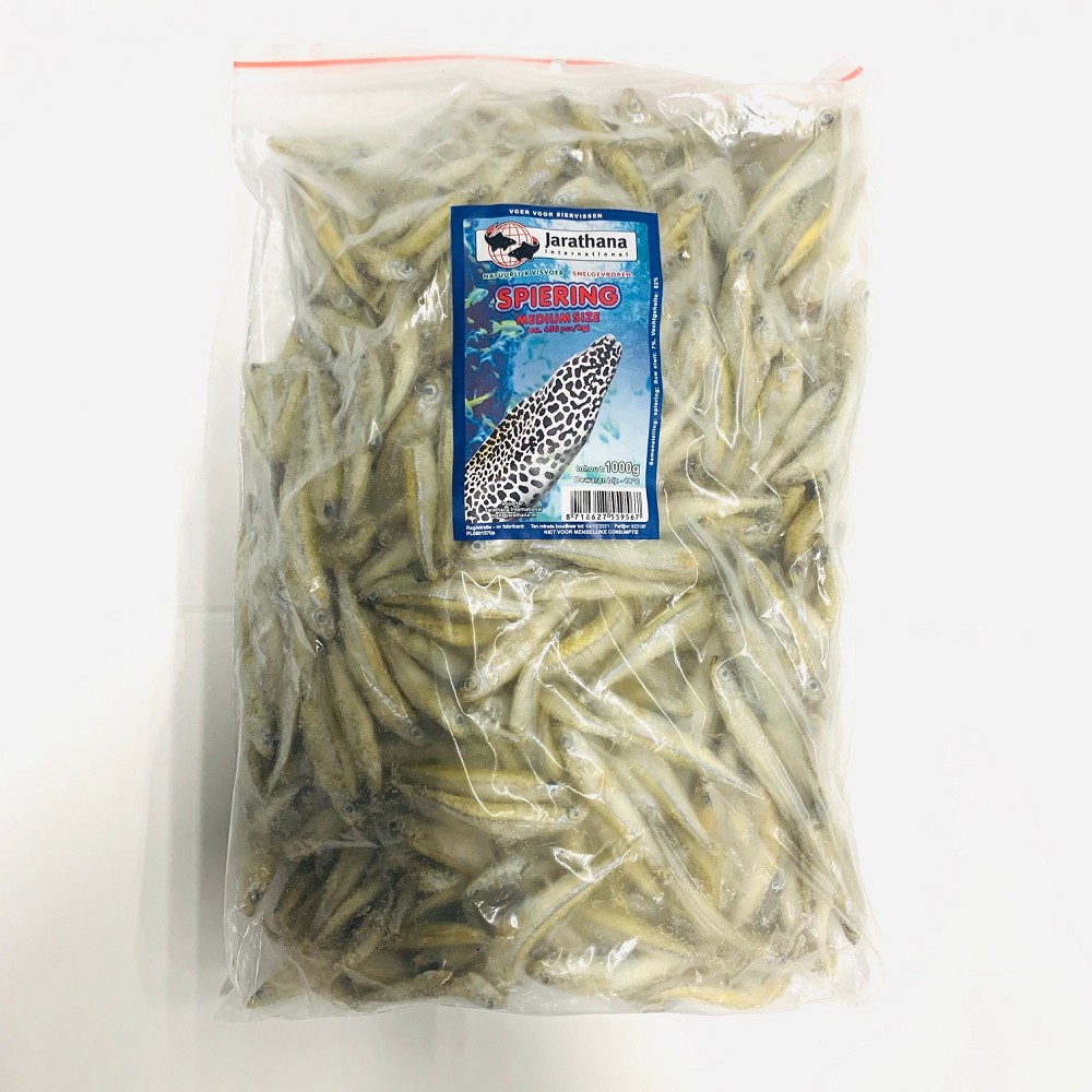 Spiering 1000 gram - Diepvries visvoeders - Jarathana